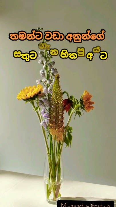 ලස්සන ප්‍රාර්ථනාවක් 🙏👆👆 Motivation Sinhalamotivational Quotes Youtube