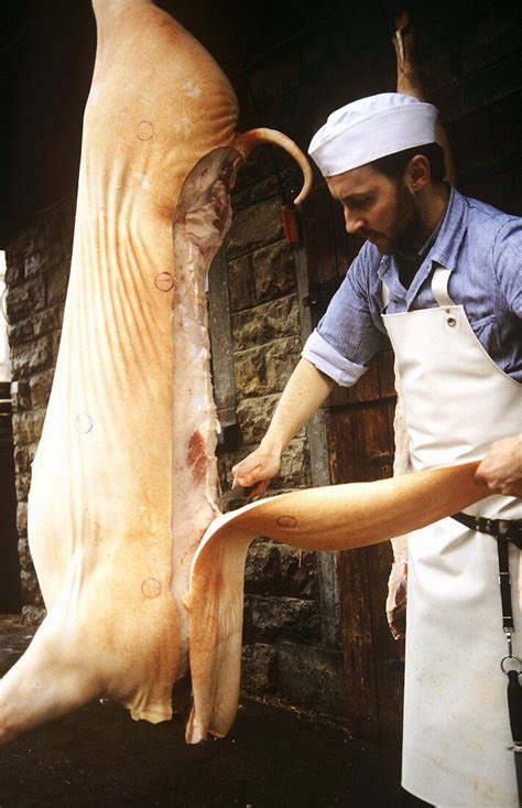 Butchering A Hog