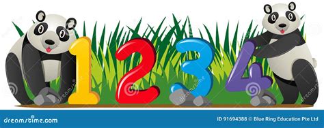 two pandas counting numbers one to four stock vector illustration of