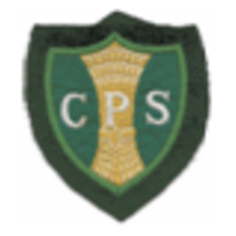 Carmunnock Primary School By Schappit Ltd