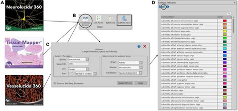 Accessing The Sparc Vocabulary Through An Api In The Mbf Bioscience