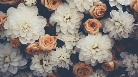 시대를 초월한 꽃의 아름다움 빈티지 흰 꽃 질감 장미 분홍 장미 장미 정원 배경 일러스트 및 사진 무료 다운로드 Pngtree