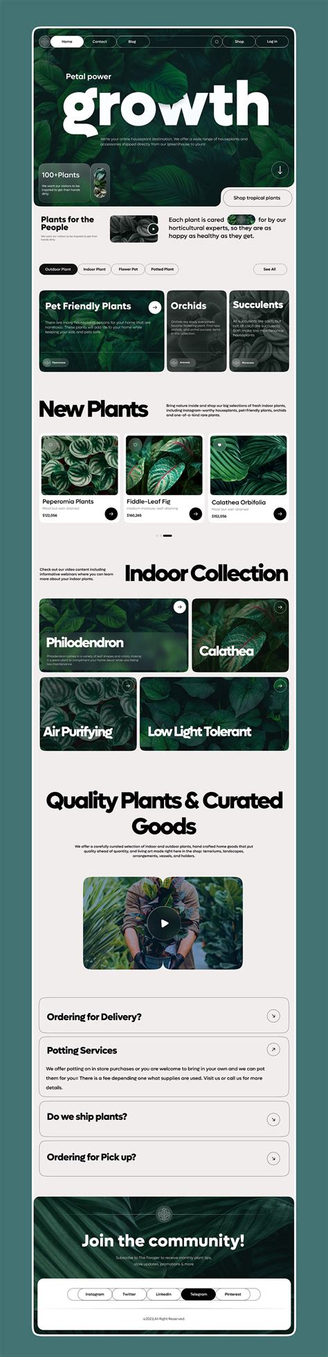 Shop Plants Online Grow Your Green Oasis 🌱 Web Page Designs