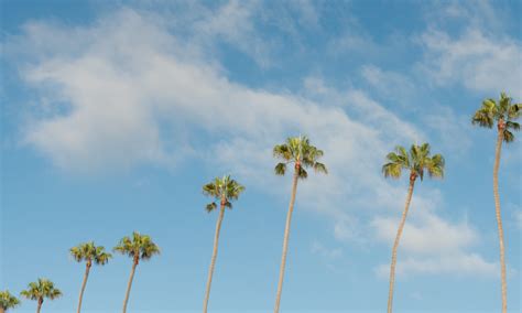 Doris Goodson Summit Coordinator San Diego Events Company