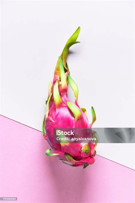 두 톤 이중 색상 종이 흰색과 분홍색 배경에 드래곤 프루트 와 창조적 인 평면 레이아웃 꼭대기 전망 전체 신선한 잘 익은 건강한 이국적인 과일의 평평한 평신도 건강한 생활