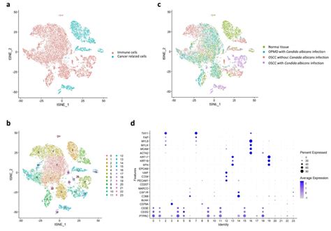 Visual Distribution Of Dimensionality Reduction In All Cell Download Scientific Diagram