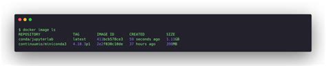 dockerizing jupyter projects towards data science