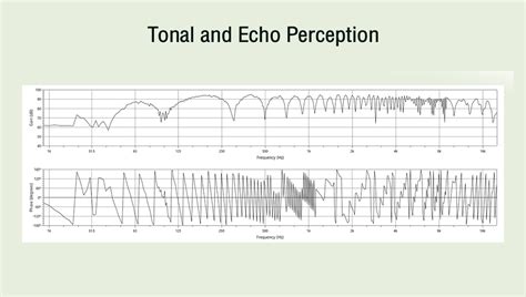 การรับรู้ Tonal Spatial และ Echo เข้าใจเพื่อยกระดับคุณภาพงานเสียง