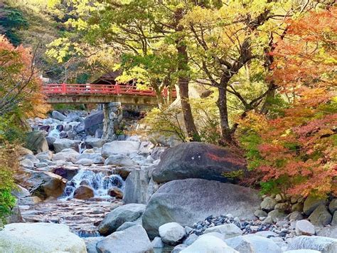 【紅葉情報】 湯の山温泉 湯の山温泉 ホテル湯の本 御在所岳の麓でくつろぐ温泉旅館