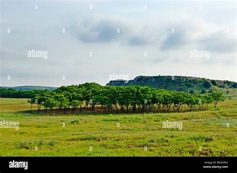 Us Kernland Umfasst Farmscapes Ranchland Staubige Straßen Rasen
