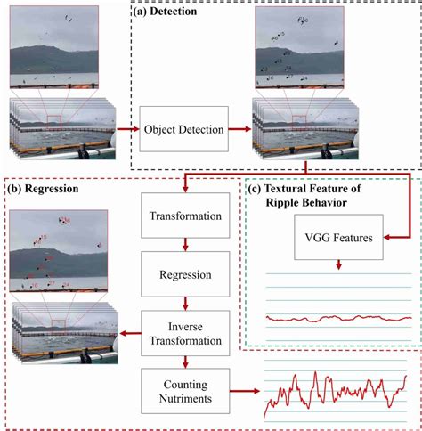 Color Online Diagram Of The Proposed Method A The Input Video Is Download Scientific