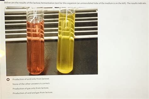 Solved Below Are The Results Of The Lactose Fermentation