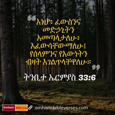 Amharic Bible Verses