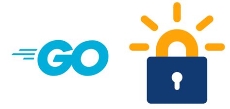 Use The Acme Dns Challenge To Get A Tls Certificate Marco Franssen