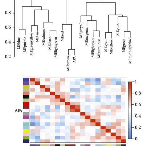 Gsea Analysis For Go Enrichment Using Combined Datasets Ire1 An