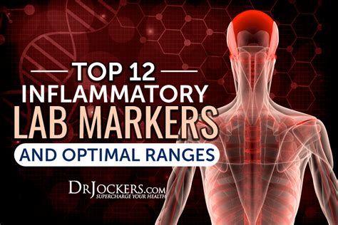 Top 12 Inflammatory Lab Markers And Optimal Ranges DrJockers Com Systemic Inflammation Reduce