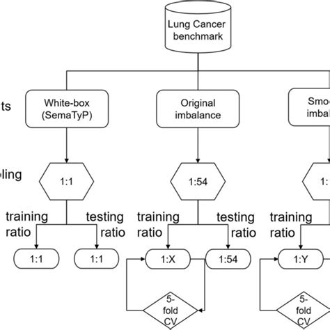 Overview Of The Blgpa Feature Extraction Process Forming The Final Download Scientific Diagram