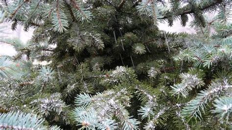 Hydrometeorology Images Parcourir 127 Le Catalogue De Photos