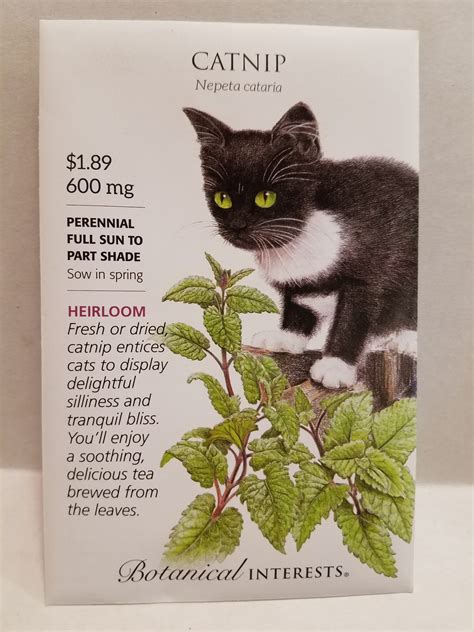 Seed Catnip Farmers Daughter T And Garden Center