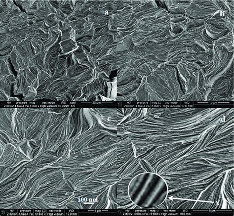 Sem Micrographs At Different Magnifications Showing The Microstructure