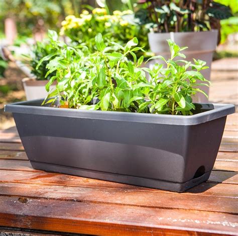 Rectangular Plant Pot Planter Box Black Furniture And Home Living