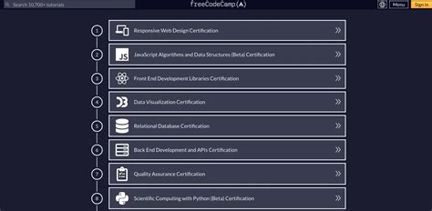 Freecodecamp Vs Codecademy 2025 Which One Is Better 🔥