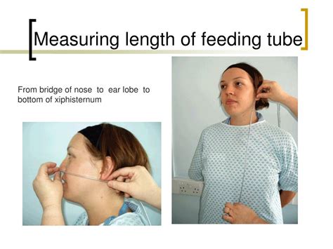 Ppt Naso Gastric Tube Insertion Powerpoint Presentation Free