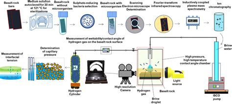 Methodology Flow Chart Including Microbial Activity Sem Analysis Ftir Download Scientific