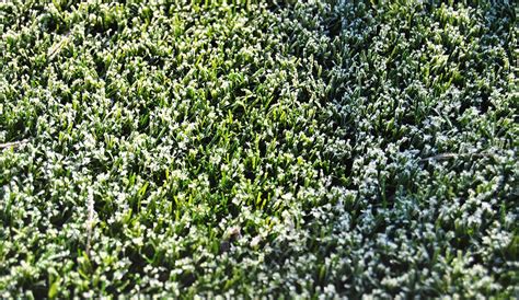 6 Winter Artificial Grass Installation Tips