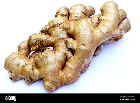 Large Huge Big Fresh Ginger Root Rhizome Sprouting Indian Southeast