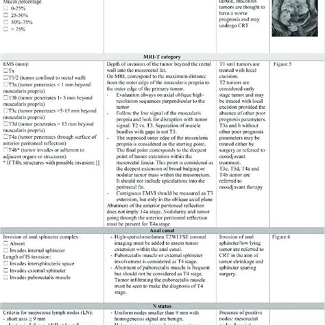 Rectal Cancer Staging Template Download Scientific Diagram