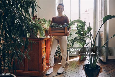 식물이 든 나무 상자를 들고 집안 방에 서있는 동안 미소 짓는 자신감있는 여성 가사 집안일에 대한 스톡 사진 및 기타 이미지 가사 집안일 긍정적인 감정 표현 나름