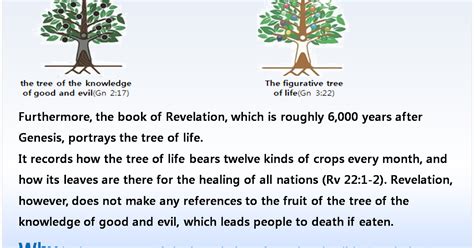 DECODING THE TREE OF LIFE IN THE BIBLE