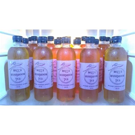 Kambucha Tea Air Teh Cendawan Melah Alga Mekah Shopee Malaysia