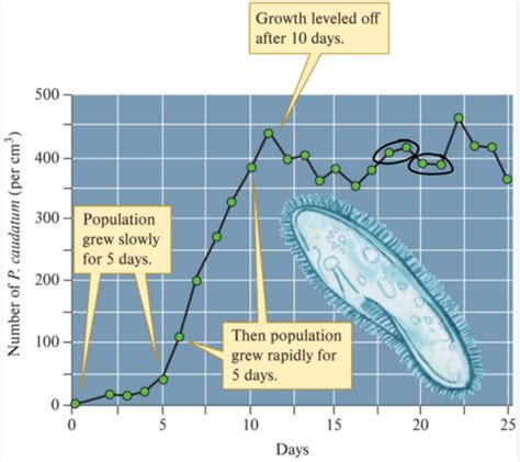 Exam 2 Lecture 11 Logistic Population Growth Flashcards Quizlet