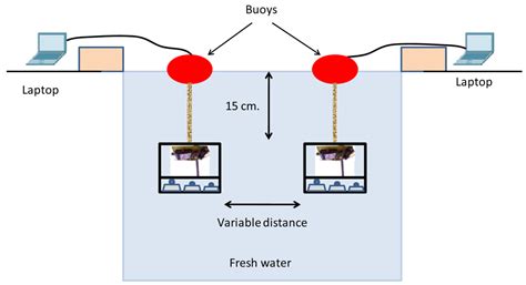 Sensors Special Issue Underwater Sensor Nodes And Underwater Sensor Networks