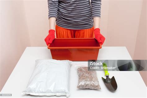 종자 및 토양에 심기 위한 공간을 준비 합니다 플라스틱 용기 배수 비료 지구 씨앗 식물 화분 흰색 테이블에 건강관리와 의술에