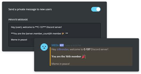 I 5 Migliori Bot Per Gestire Un Server Su Discord Morethantech
