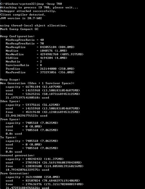 java内存分析神器之jmap 朱伟的博客zhuwei cc