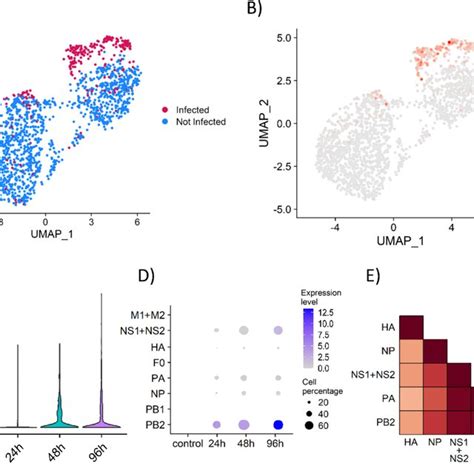 Isav Infection And Transcription A Umap Dimensionality Reduction