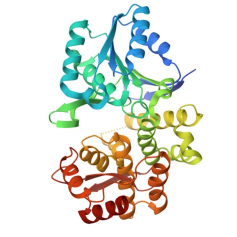 Rcsb Pdb 3qbe Crystal Structure Of The 3 Dehydroquinate Synthase Arob From Mycobacterium