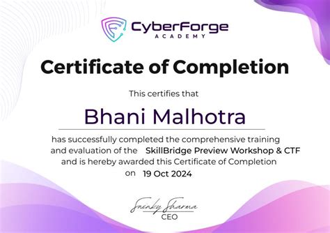 Bhani Malhotra On Linkedin Cybersecurity Ctf Skillbridge Training Cyberforgeacademy
