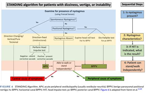 Approach To Dizziness And Vertigo Based On The Grace 3 Guidelines Ed