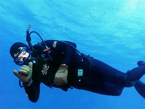 Honokowai Sea Turtles Summer Summary