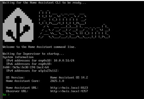 Installation Resulted In Cli Instead Of Web Browser Interface Installation Home Assistant