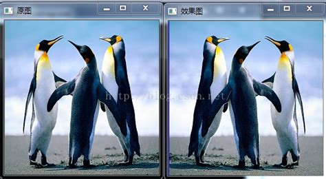 Opencv中的重映射：remap（）函数opencv Remap函数 Csdn博客