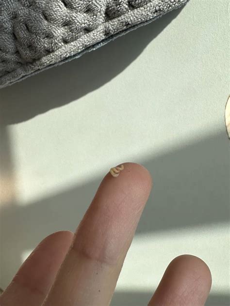 [잡담] 레전드 피지 ㅎㅇㅈㅇ 인스티즈 Instiz 일상 카테고리