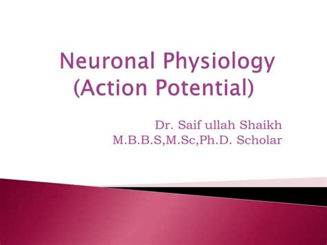 Neuronal Physiology Action Potential 03032023 014853pmpptx