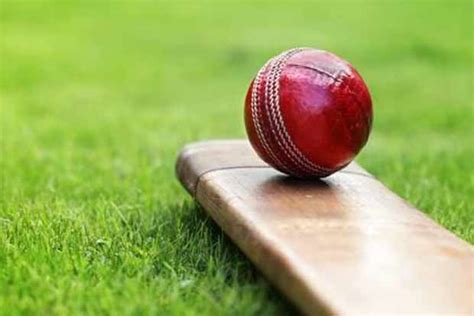 Tamil Nadu Loses To Maharashtra