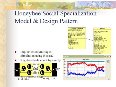 Inspired Design Using Interdisciplinarity And Biomimicry For Software